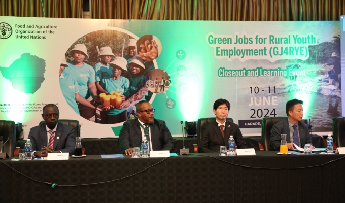 FAO Green Jobs Initiative Empowers Rural Youth in Zimbabwe